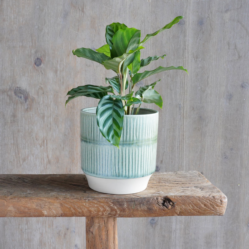 Stoneware Vertical Textured Planter