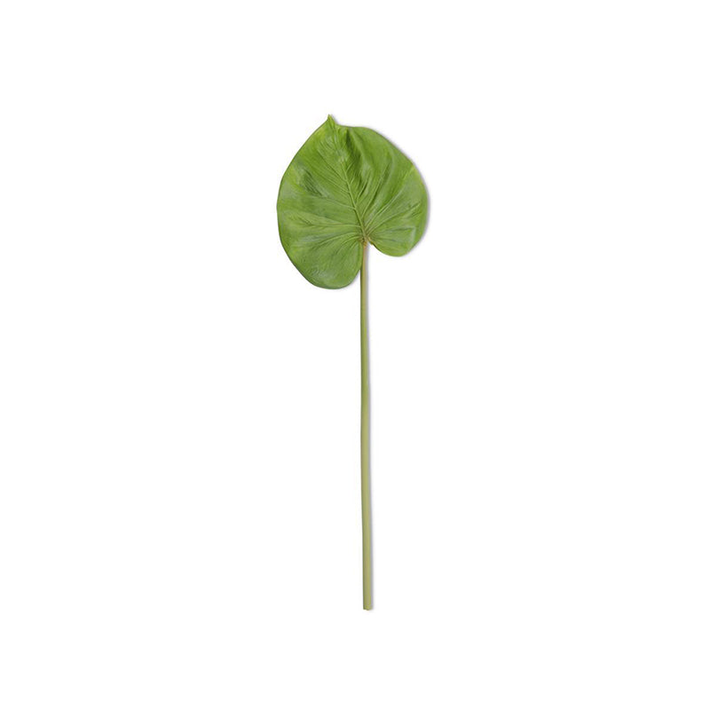 Philodendron Single Leaf Stem - 21"